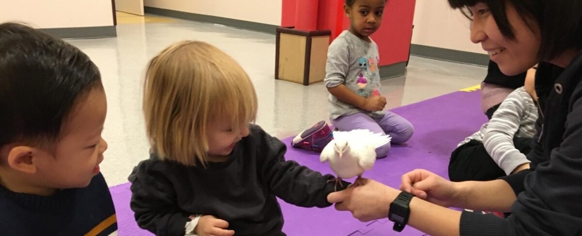 Social-emotional Learning and Developing Emotional Intelligence