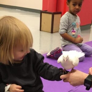 Social-emotional Learning and Developing Emotional Intelligence