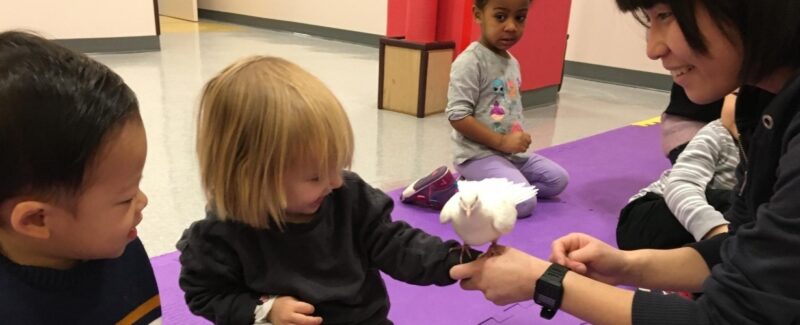 Social-emotional Learning and Developing Emotional Intelligence