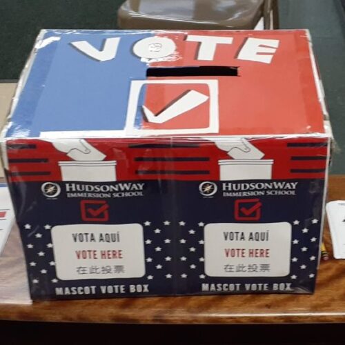 Selection of a school mascot