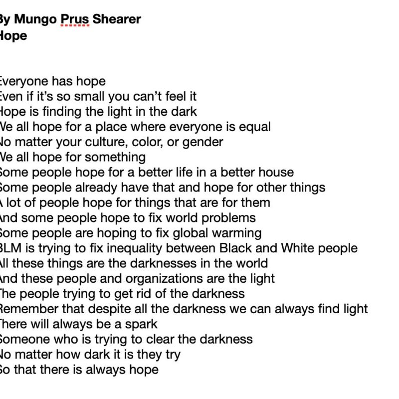 Poetry inspiration from Amanda Gorman | HudsonWay Immersion School