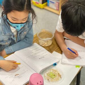 Grade 3 Science Projects