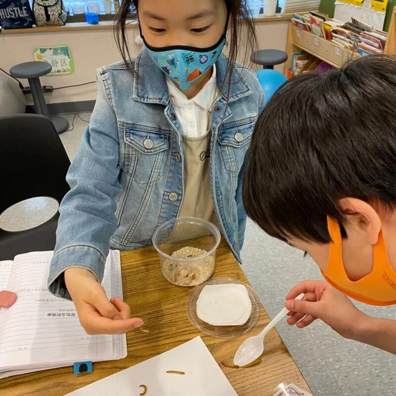 Grade 3 Science Projects