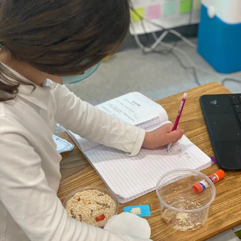 Grade 3 Science Projects