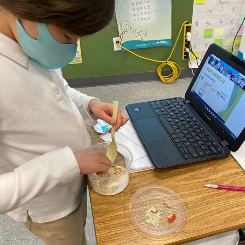 Grade 3 Science Projects