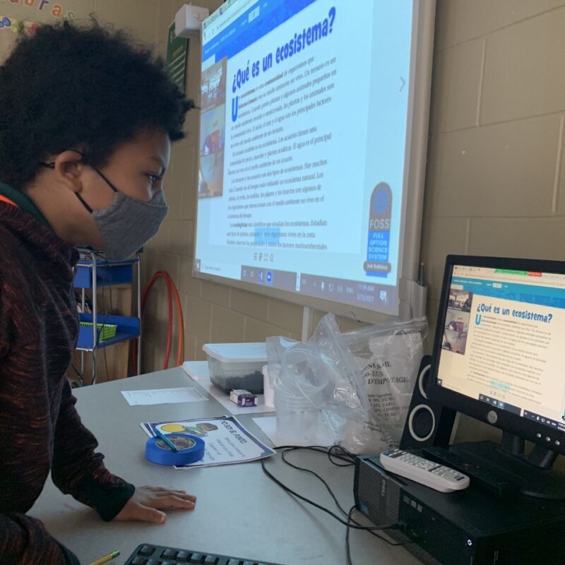 Grade 3 Science Projects