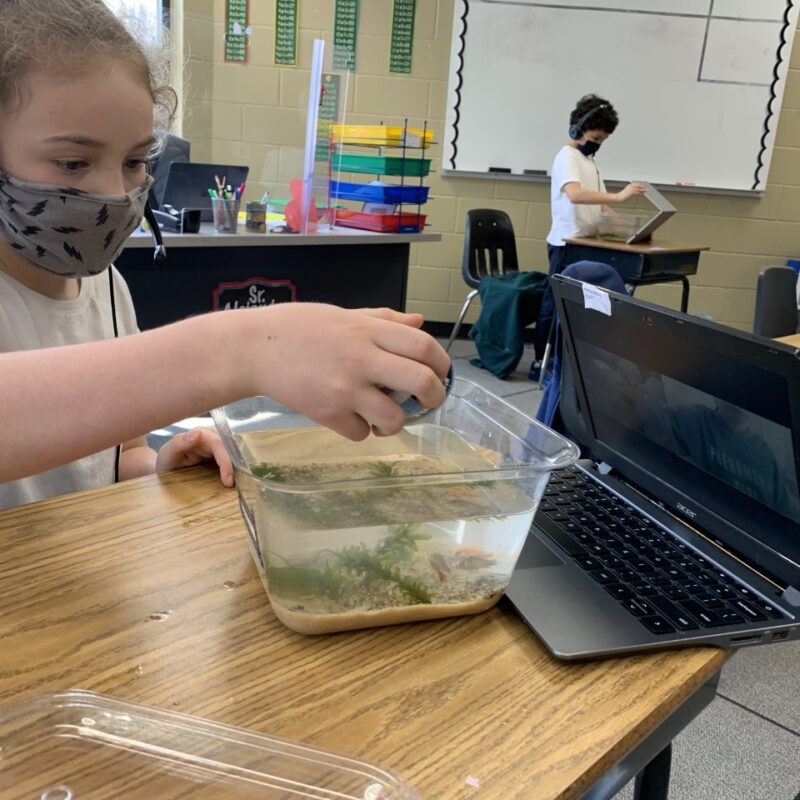 Grade 3 Science Projects