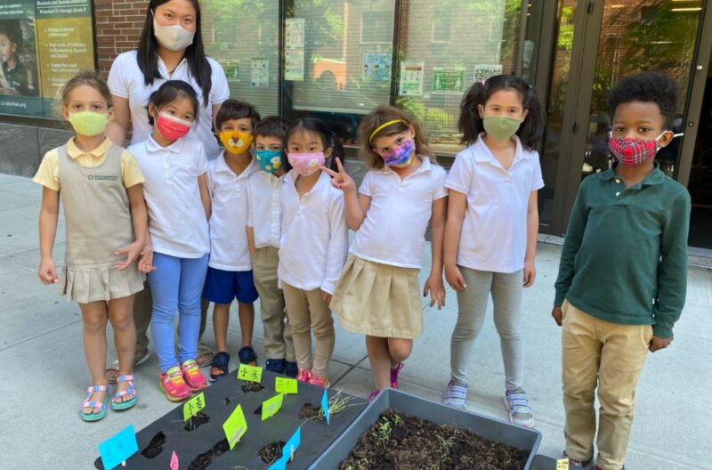 Science units on Planting and Insects