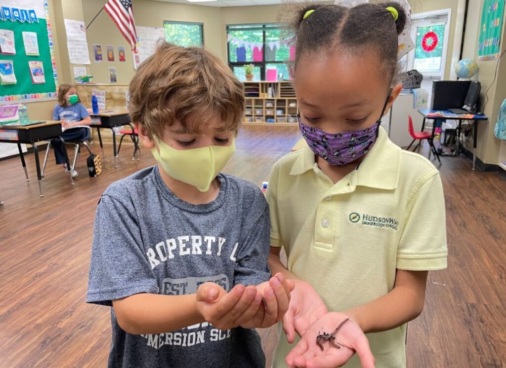 Science units on Planting and Insects