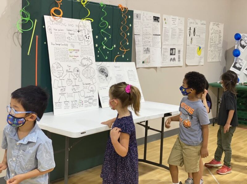 Science Fair Challenges