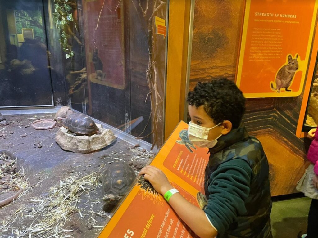 Field Trip to Liberty Science Center - HudsonWay Immersion School